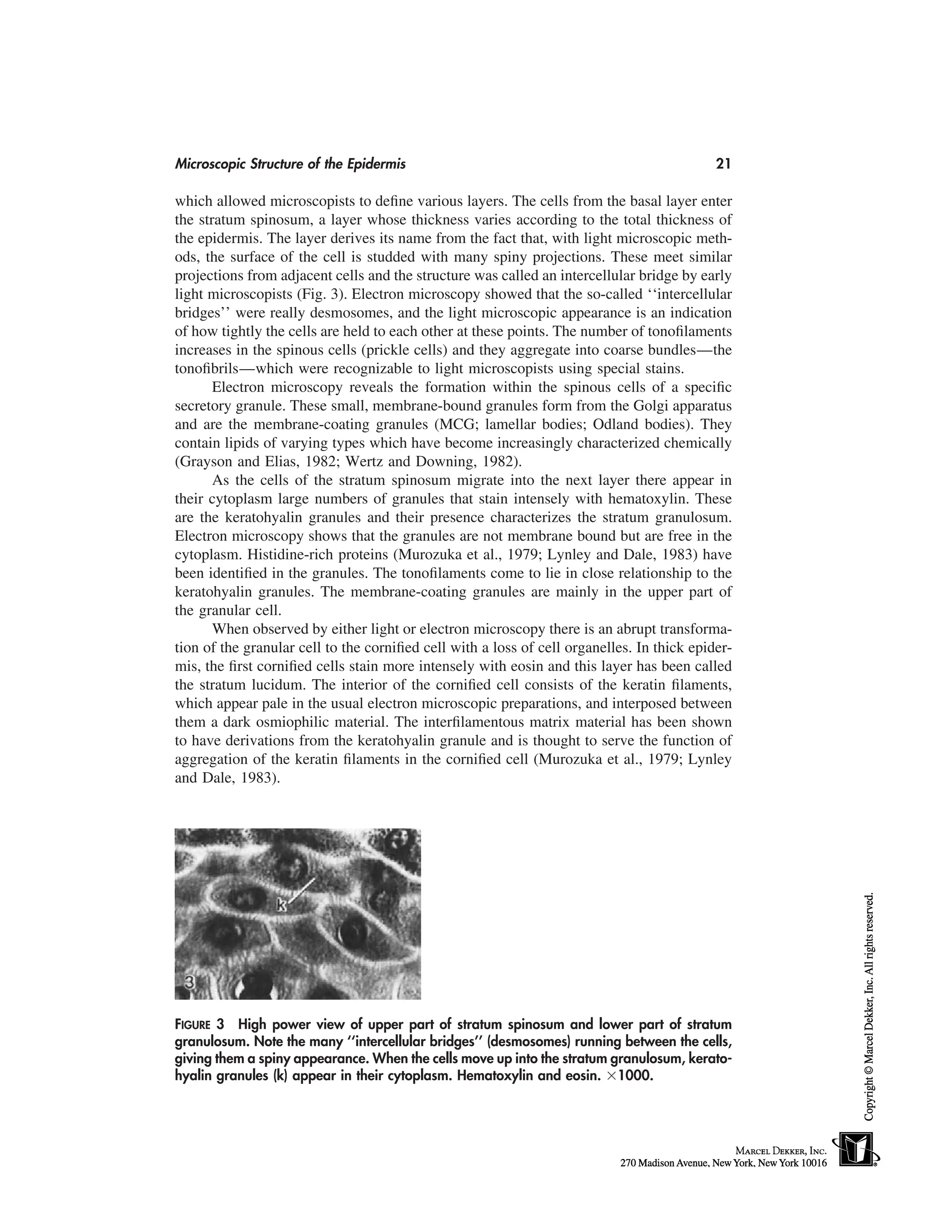 Barel_Paye_Maibach_Handbook cosmetics... | PDF