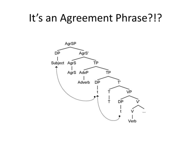 Bare phrasestructure II | PPTX | Programming Languages | Computing