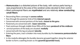 DESCENDING-TRACTS.pptx