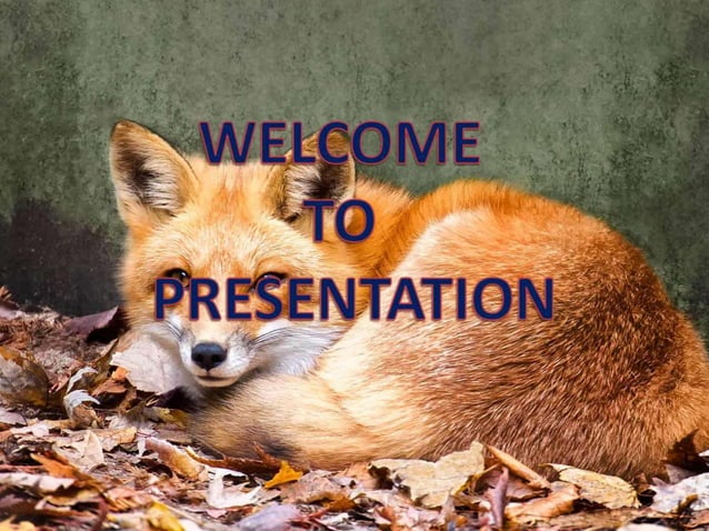BACTERIAL DISEASES OF FOXES | PPT