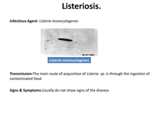 BACTERIAL DISEASES OF FOXES | PPTX