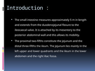 BARIUM IMAGING IN SMALL BOWEL ILEUM.pptx