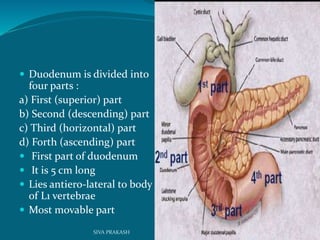 Barium meal follow through | PPTX