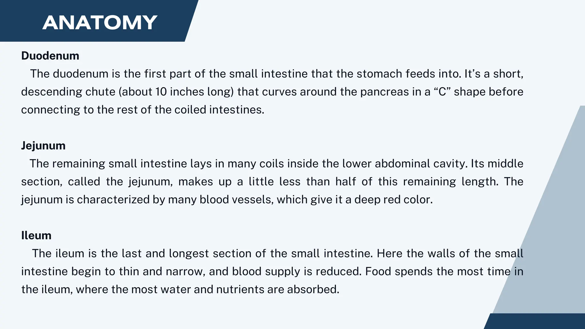 Barium meal follow through procedure in radiology department | PDF