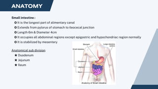 Barium meal follow through procedure in radiology department | PDF