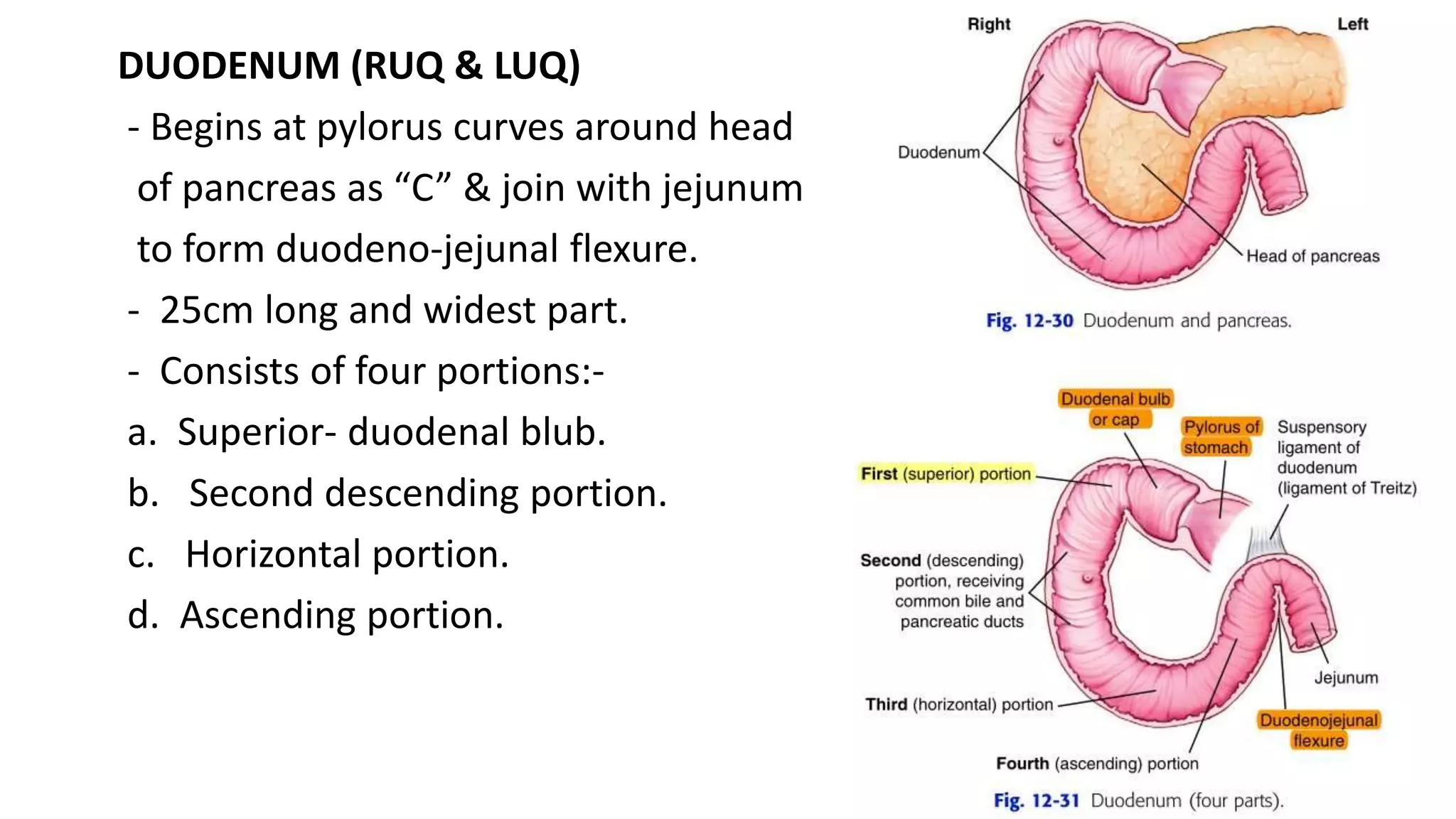 Barium meal follow through (BMFT), Enteroclysis and Barium enema (BE) | PPTX