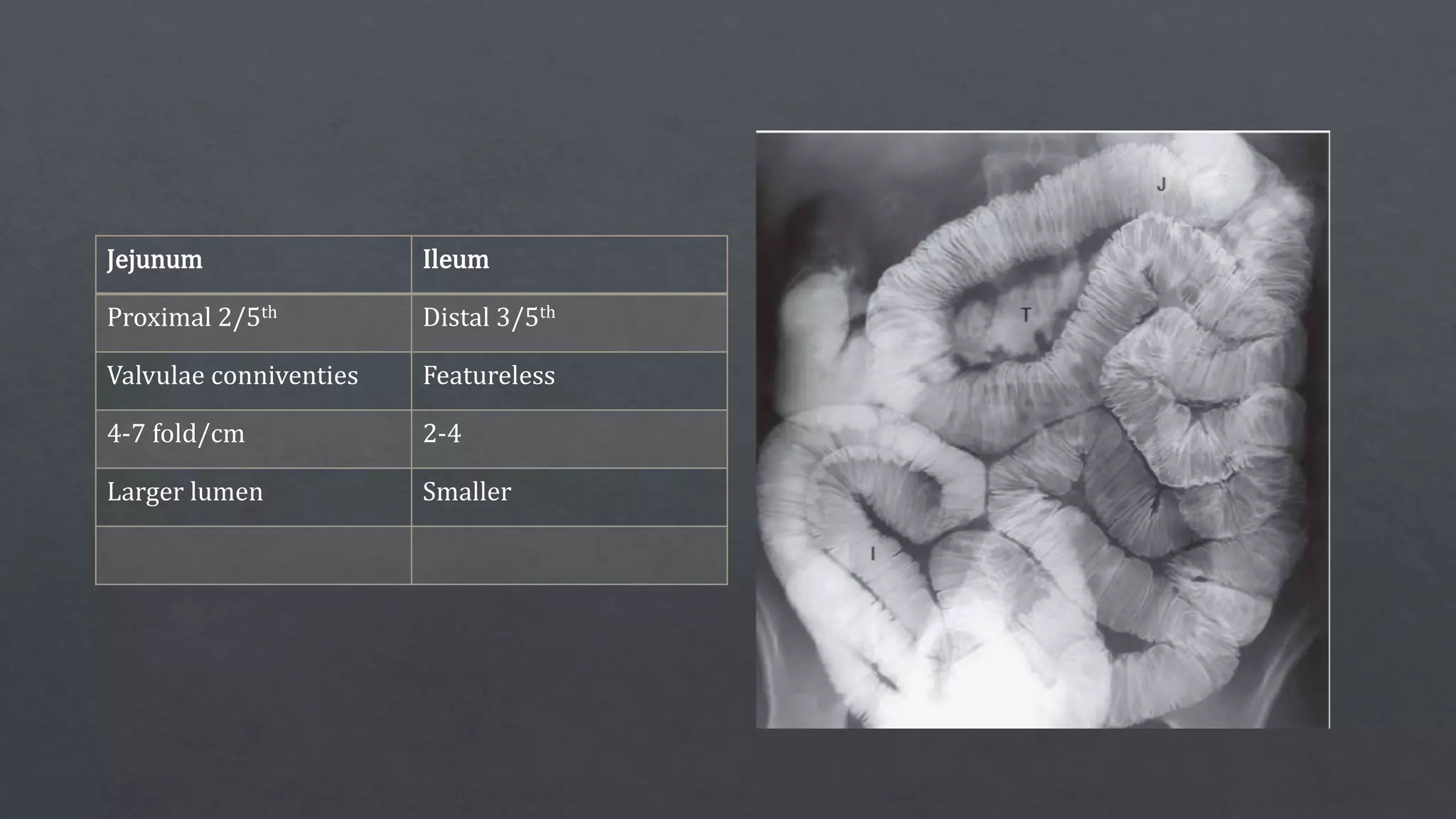 Barium studies in git | PPTX