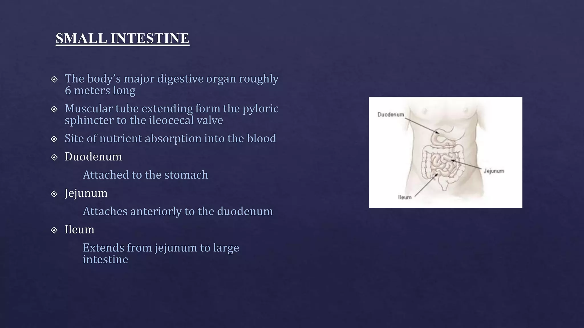 Barium Swallow, Barium Meal & Barium Meal Follow Through.pptx