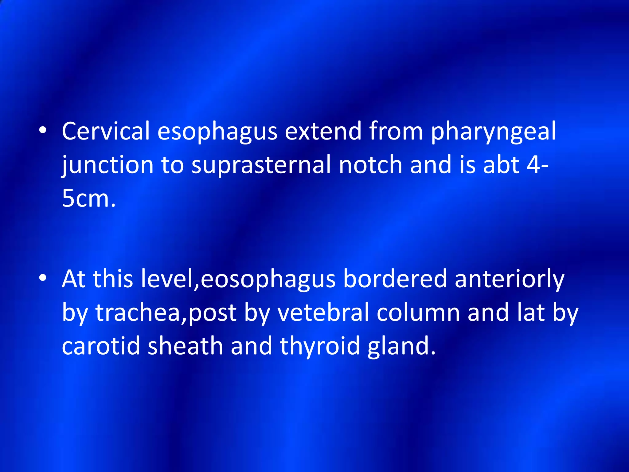 Barium Swallow Presentation | PPTX