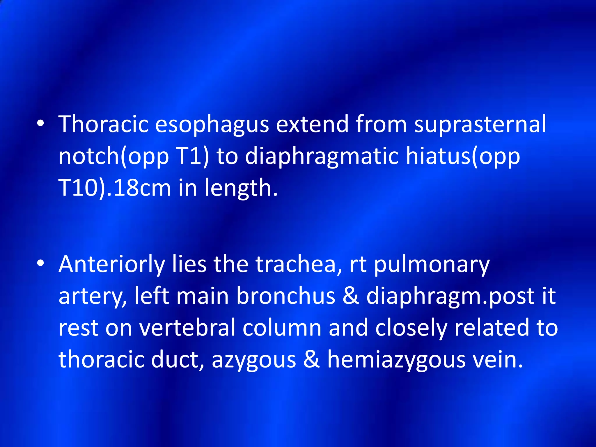 Barium Swallow Presentation | PPTX