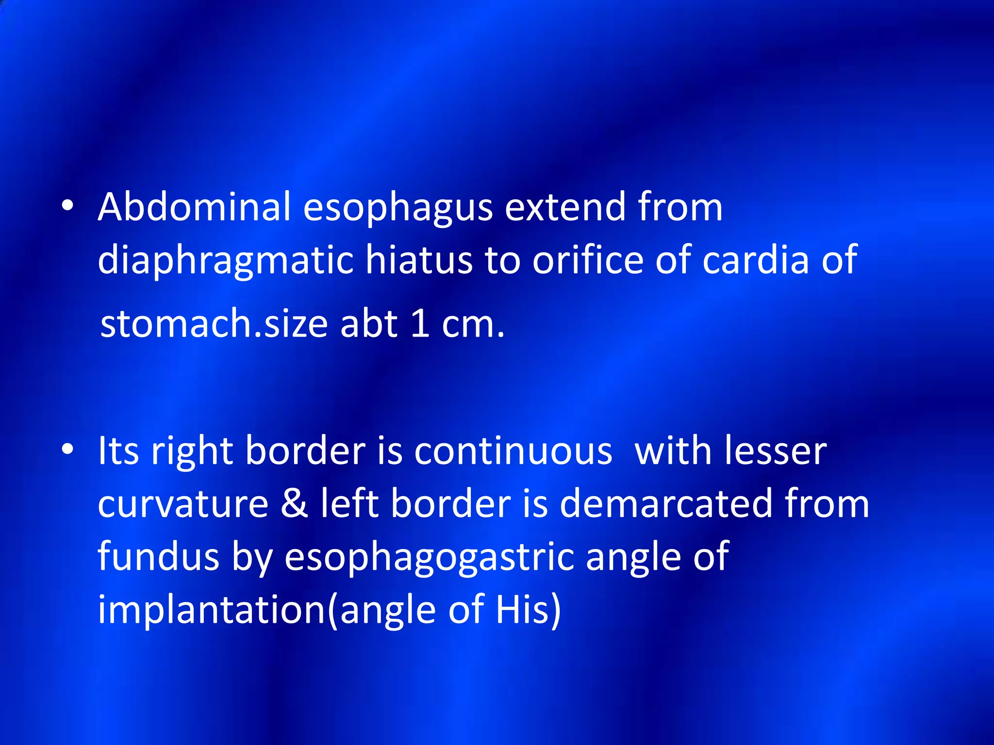 Barium Swallow Presentation | PPTX