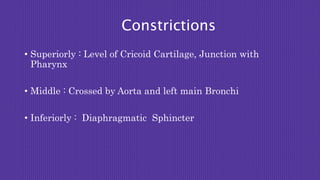Barium swallow. Srinivas Rao Khorfakkhan hospital | PPTX