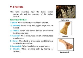 Bark | PDF
