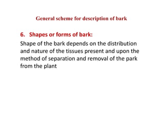 Bark | PDF