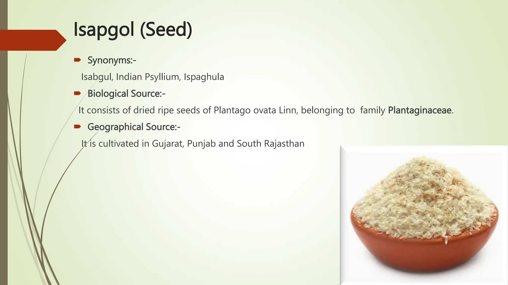 Transverse Section Bark and Seed ( Cinchona, Cinnamon,Isapgol,Nux ...