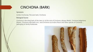 Transverse Section Bark and Seed ( Cinchona, Cinnamon,Isapgol,Nux ...