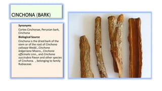 Cultivation, Collection and T.S , Powder Character of Bark and Seed ...