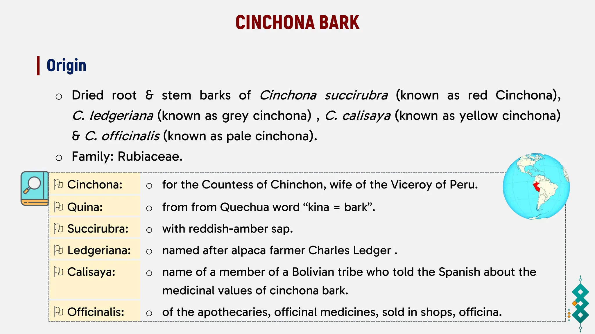 Bark: Introduction - Cinchona, Cinnamon & Cassia | PDF