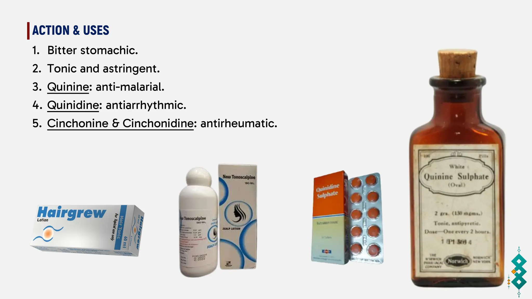 Bark: Introduction - Cinchona, Cinnamon & Cassia | PDF