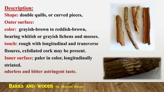 Barks intro., Cinchona, pomengranate and Yohimbe | PPT