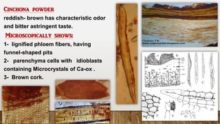 Barks intro., Cinchona, pomengranate and Yohimbe | PPT