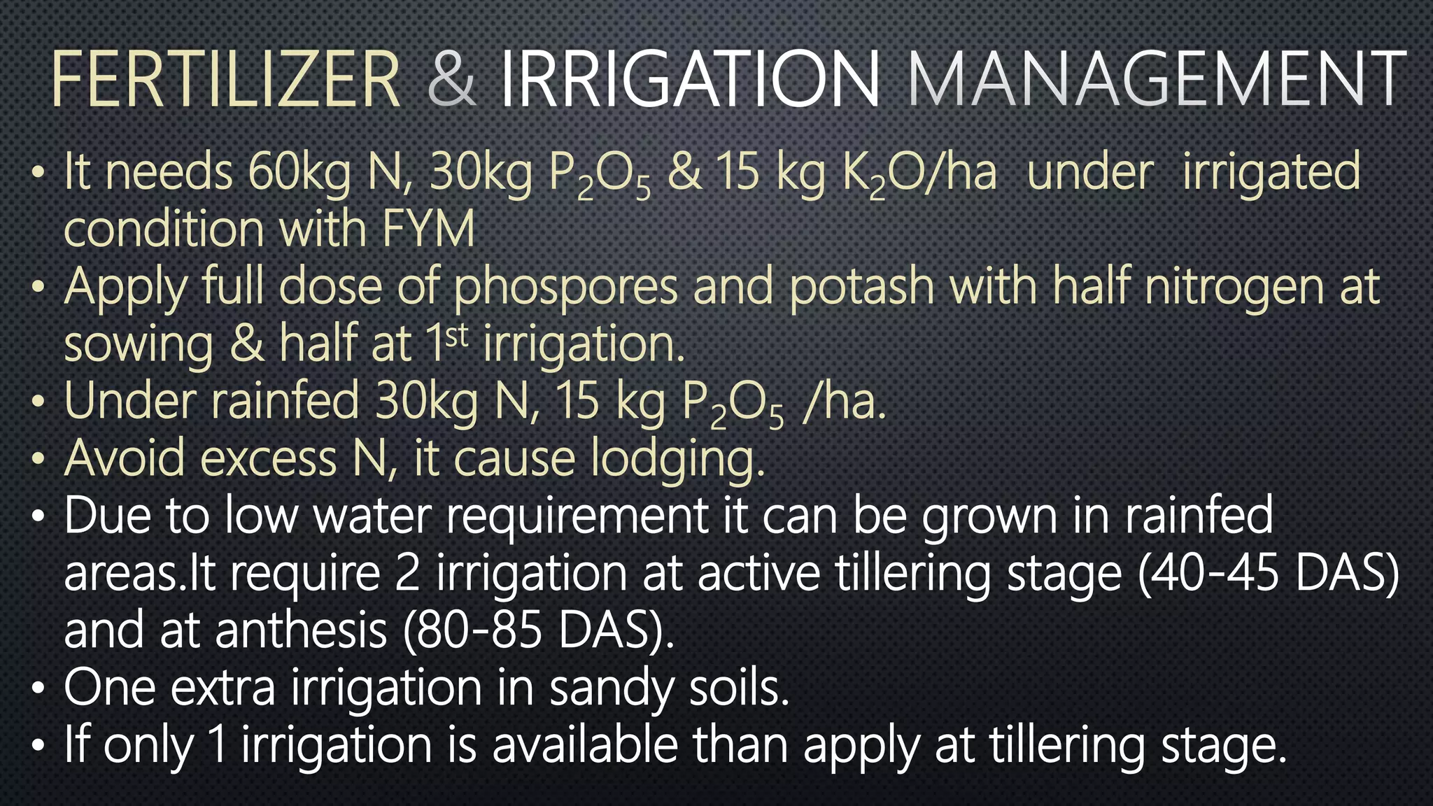 Barley Crop production | PPTX