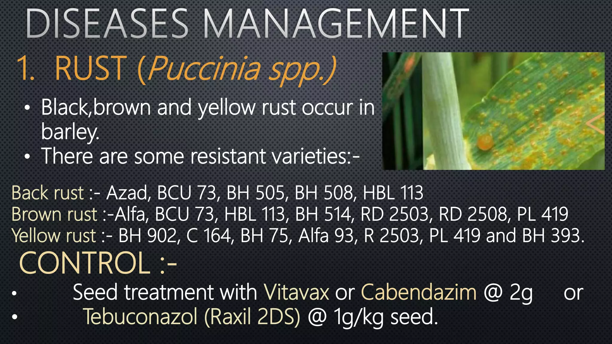 Barley Crop production | PPTX