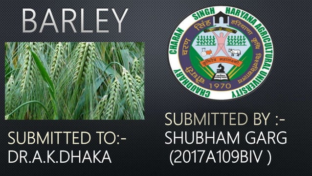Barley Crop production | PPTX | Agriculture | Industries