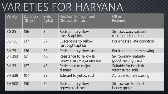 Barley Crop production | PPTX | Agriculture | Industries
