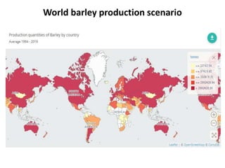 Barley.pptx