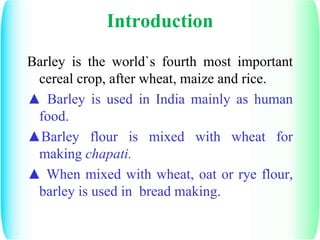 Barley.ppt
