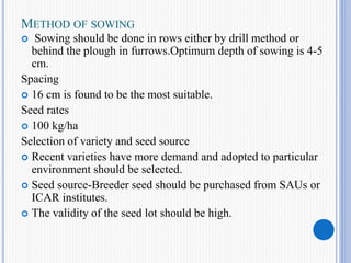 Barley floral biology and seed production | PPTX