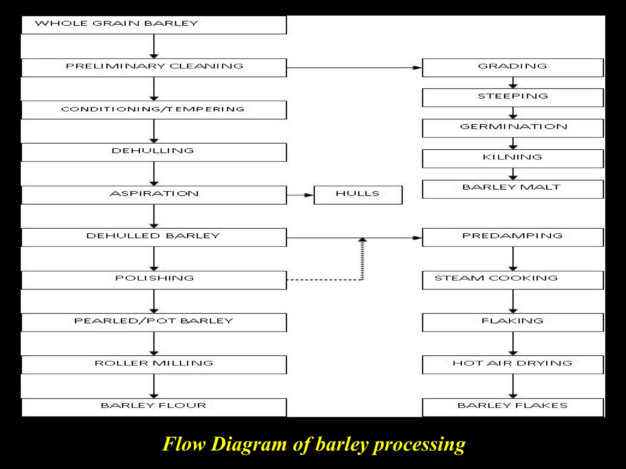Barley classification, malting and processing | PDF