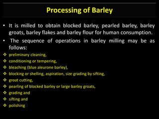 Barley classification, malting and processing | PDF