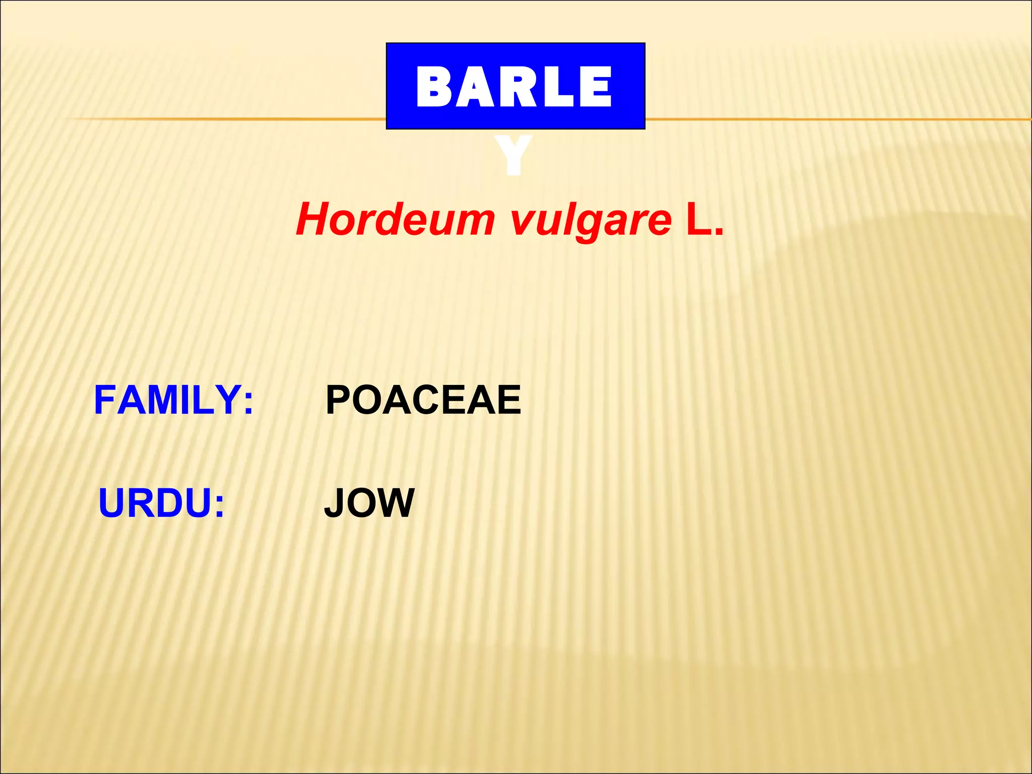 Barley (presentation) | PPT