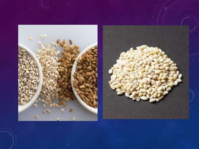 Barley processing | PPTX | Gardening | Home & Garden