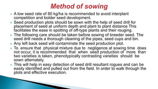 Barley seed production | PPTX