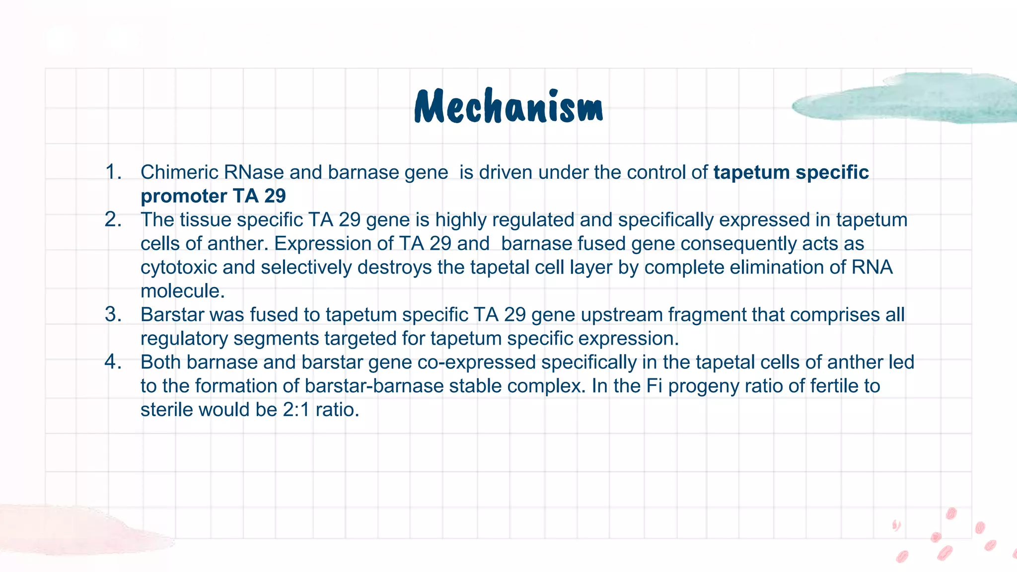 Barnase and bartar system | PPTX
