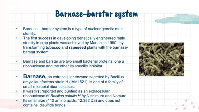 Barnase and bartar system | PPTX