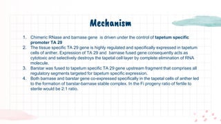 Barnase and bartar system | PPTX