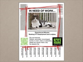 Running a Successful Barn Cat Program | PPT