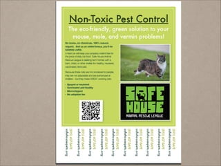 Running a Successful Barn Cat Program | PDF