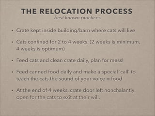 Running a Successful Barn Cat Program | PPT