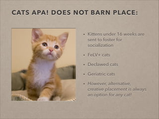 Running a Successful Barn Cat Program | PPT