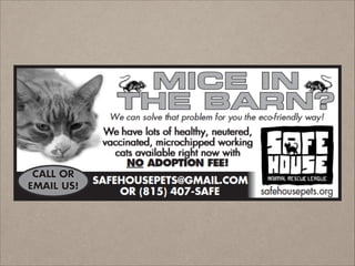 Running a Successful Barn Cat Program | PPT