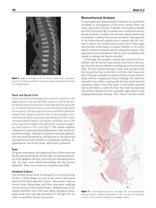 Barnes article | PDF