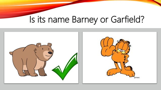 Barney the bear 2021 | PPT
