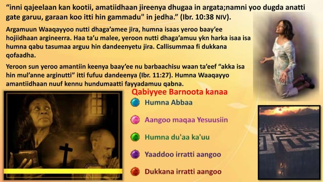 Barnoota_8ffaa_nuusa3ffaa_2022.pptx