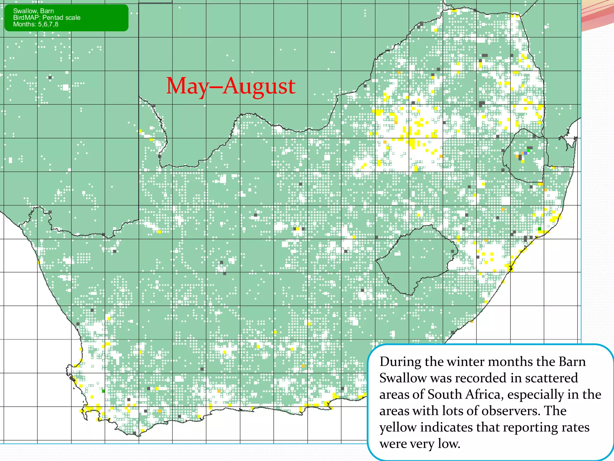 Barn Swallow Seasonality - SABAP2 | PPT