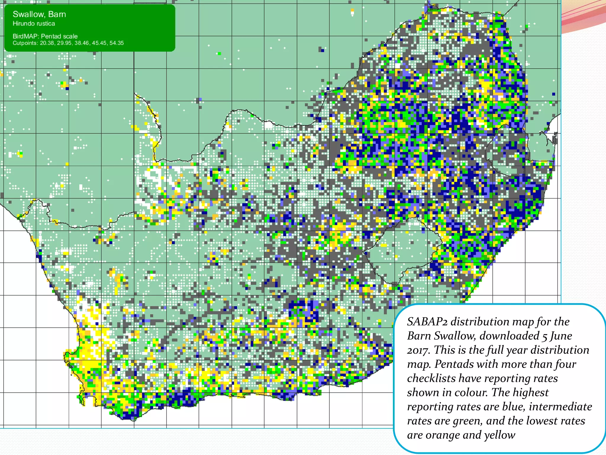 Barn Swallow Seasonality - SABAP2 | PPT